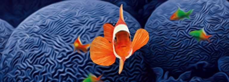 A técnica FISH na patologia molecular – Inopat